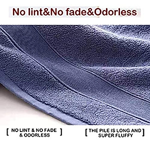 RUIBOLU 100% Cotton Ultra Soft Highly Absorbent Hand Towel 2 Set , Size 14" x 30" Home Bathroom Hand Towels for Bath, Hand, Face, Gym (Blue)