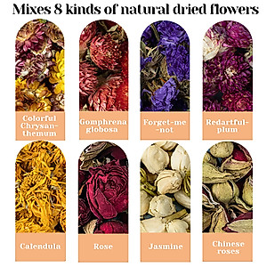 PINVNBY Hamster Bedding, 7OZ Natural Flower Small Pet Bedding for Hamsters, Gerbils, Mice, Lemming, Degus