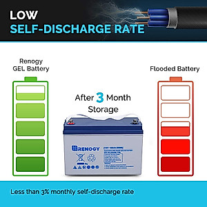 Renogy 12V 100AH Deep Cycle Hybrid Gel Battery, Over 750 Cycles, Rechargeable for Solar Wind RV Marine Camping UPS Wheelchair Trolling Motor, Maintenance Free