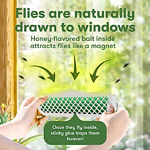 BugMD Barfly - Window Replacement Traps (6 Pack) - Window Fly Paper, Fly Trap Indoor, Window Fly Strips, Window Fly Tape, Indoor Fly Trap for Home, Fly Catcher Indoor, Indoor Fly Control