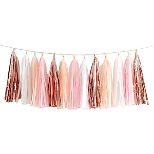 ZOOYOO Shiny Tassel Garland Tissue Paper Tassel Banner,Table Decor,DIY Kits for Tassels Party Decoration,Pack of 20 - (Rose Gold/Peach Color/Light Pink/White)