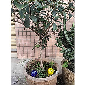 Ritadeshop Plant Watering Globes Self Watering Planter Insert Water Globes for Plants