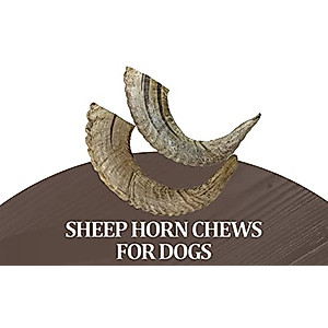 WhiteTail Naturals - Lamb Horns for Dogs (2 Pack) Long Lasting Dog Chews - Grain Free Chew Bone - Natural Sheep Horn Treat - Tough Chew Toy for Medium Breeds and Teething Puppies.