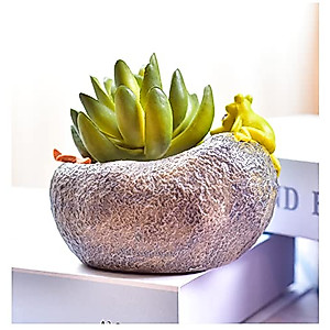 Novelty Cute Couple Frog Flowerpot with Drainer Garden Flowerpot Resin Succulent Potted Bonsai Plant Stand Home Desk Mini Ornaments Without Plants