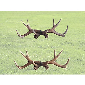 DWK 17" Vintage Antler Wall Art Decor Easy to Use and Hang Intended To Decorate Inside Your Home and Office Walls For Unique Decorative Wall Displays (Light Brown)