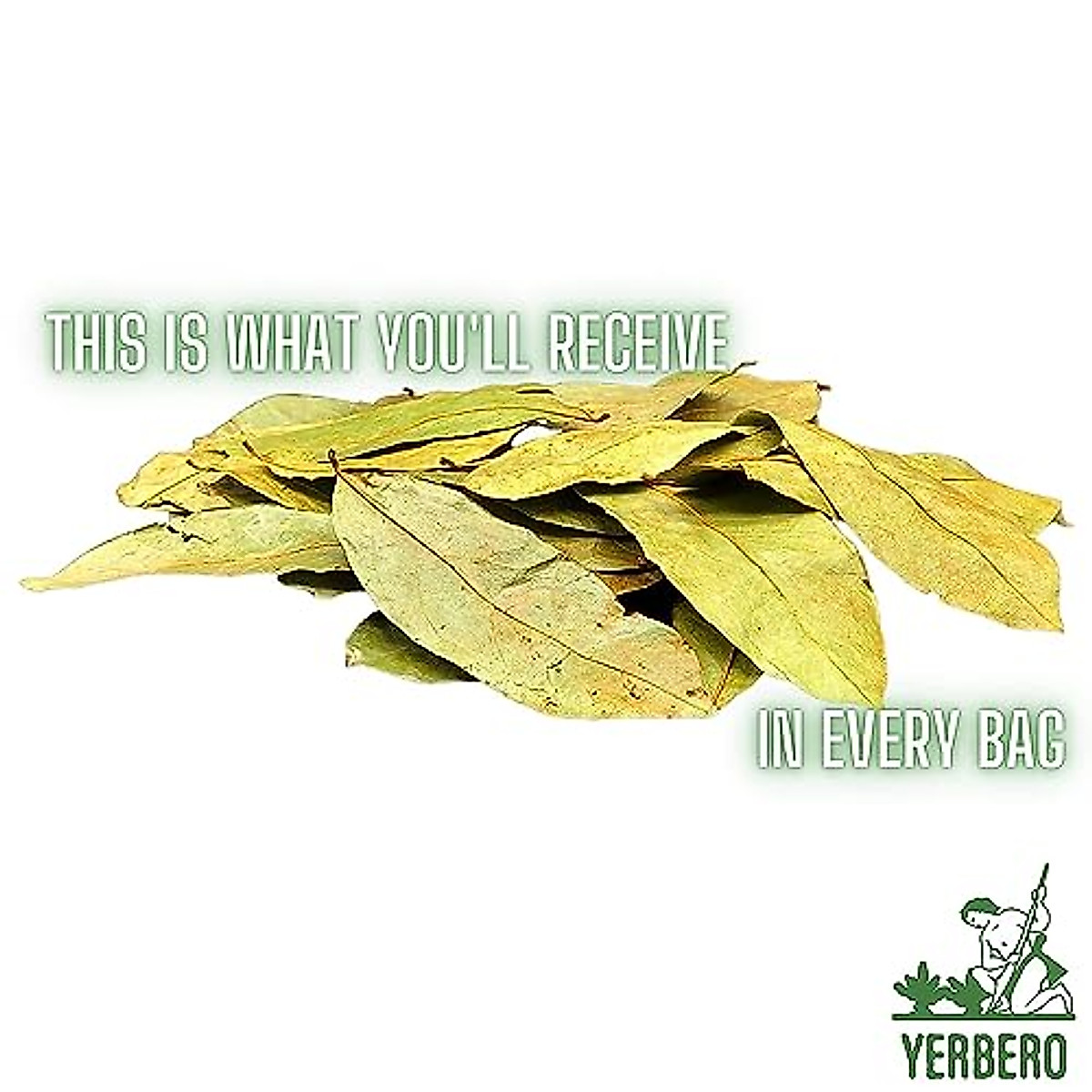 Yerbero - Whole Dried Graviola Soursop Leaves (4 oz - 330+ Leaves Per Bag) Hoja De Guanabana, 100% All Natural Delicious Fresh Tea | From Mexico | Premium Wildcrafted Quality.