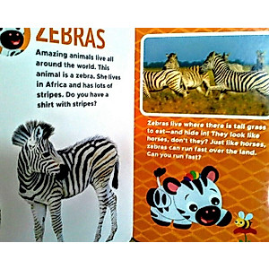 Dreamtivity Baby Einstein Video Fun Board Books, 4-Book Set