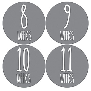 Months In Motion Weekly Pregnancy Growth Sticker | Week to Week Pregnant Expecting Photo Prop | Maternity Keepsake | Baby Bump | Weekly Stickers Photo (Set of 36 Stickers)