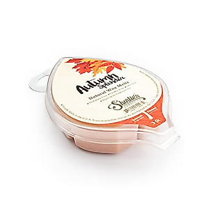 Shortie's Candle Company Autumn Splendor Natural Soy Wax Melts - 1 Highly Scented 3 Oz. Bar - Made with 100% Soy and Essential Fragrance Oils - Phthalate & Paraffin Free, Vegan, Non-Toxic