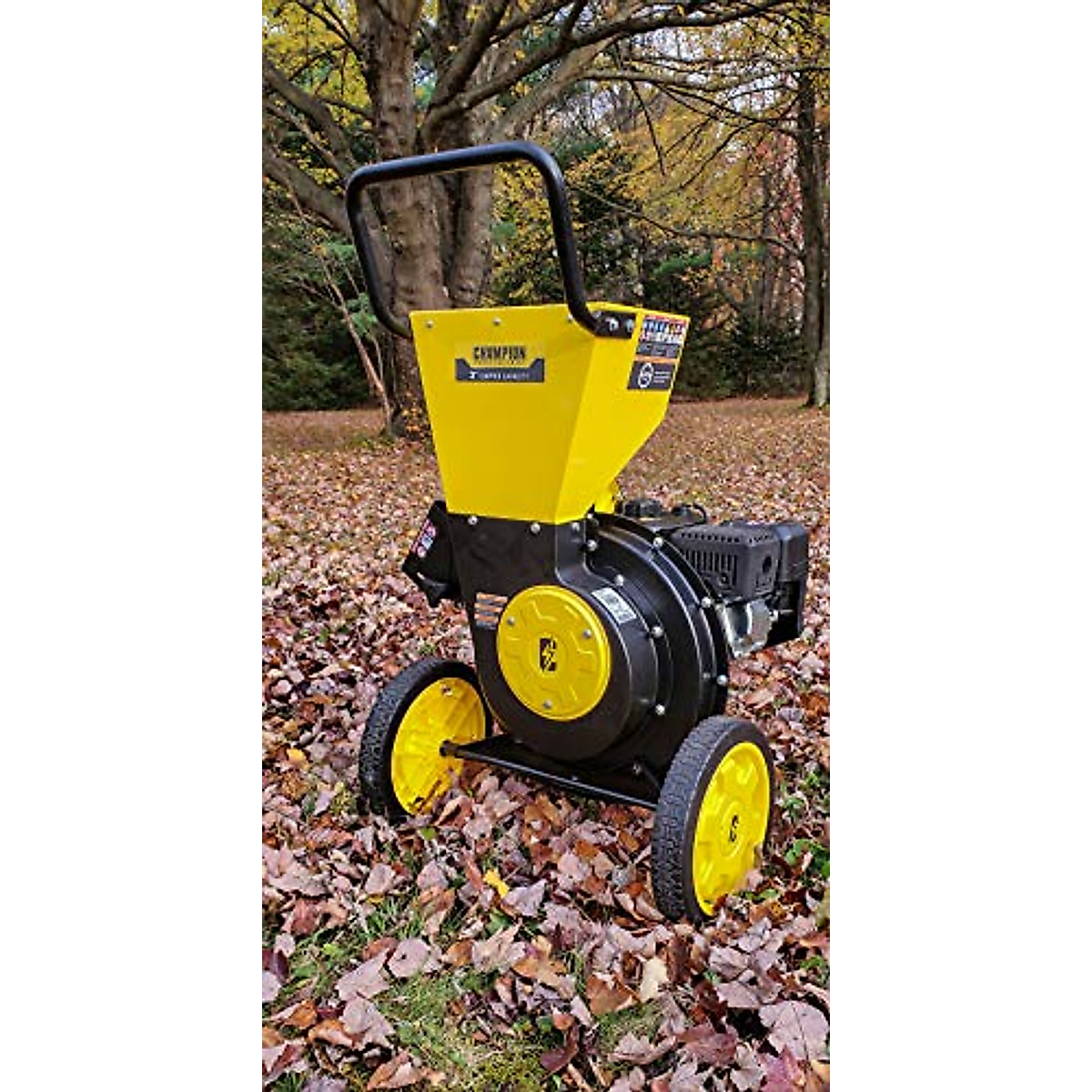 Champion Power Equipment 200905 3-Inch Portable Chipper-Shredder with Collection Bag