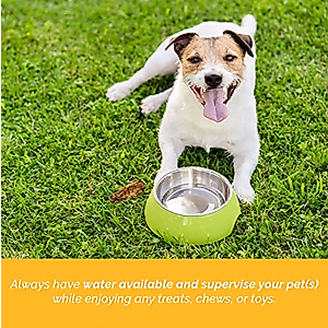 123 Treats 12-Inch Bully Sticks for Dogs (1 Pound Bag) – 100% Natural Grass-Fed Bulk Chews for Dogs & Puppies, Free-Range, Long Lasting Premium Beef Chews | Fully Digestible Dental Treats