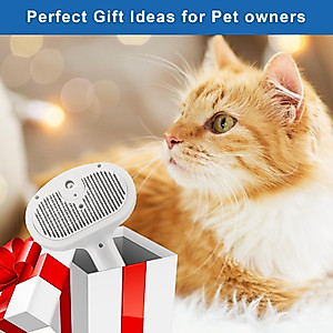 Pet Steam Hair Comb Brush for Shedding, 4 In 1 Spray Brush for Long & Short Haired Cat&Dog, Self-Cleaning Hair Remover with Water Tank And LED Blue Light, Release Button (White)
