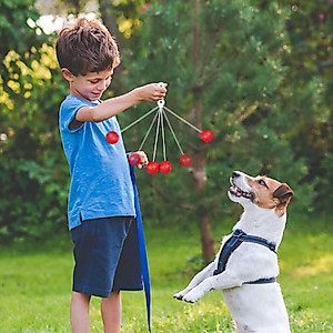 TPZAERK Clackers Ball Lato Lato Toy, 2 Swinging Balls on A String Rope, Click Clacks Noise Maker Party Favours, Fine Motor Skills Toys Hands on Abilities, Novelty Gifts for Boys and Girls (2 PCS)