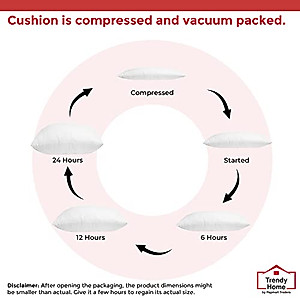 Trendy Home 20x20 Throw Pillow Insert (Set of 4, White) Bed and Couch Pillows Stuffer Hypoallergenic, Decorative Home Indoor Outdoor Sofa Pillow Filler (Non Woven, 4 Pack)