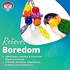 Super Bird Creations SB751 PVC Forager Bird Toy, Medium/Large Bird Size, 3” x 5” x 8”