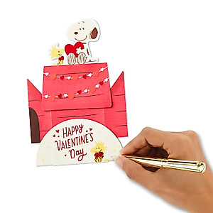 Hallmark Paper Wonder Peanuts Pop Up Valentines Day Card (Snoopy and Woodstock)