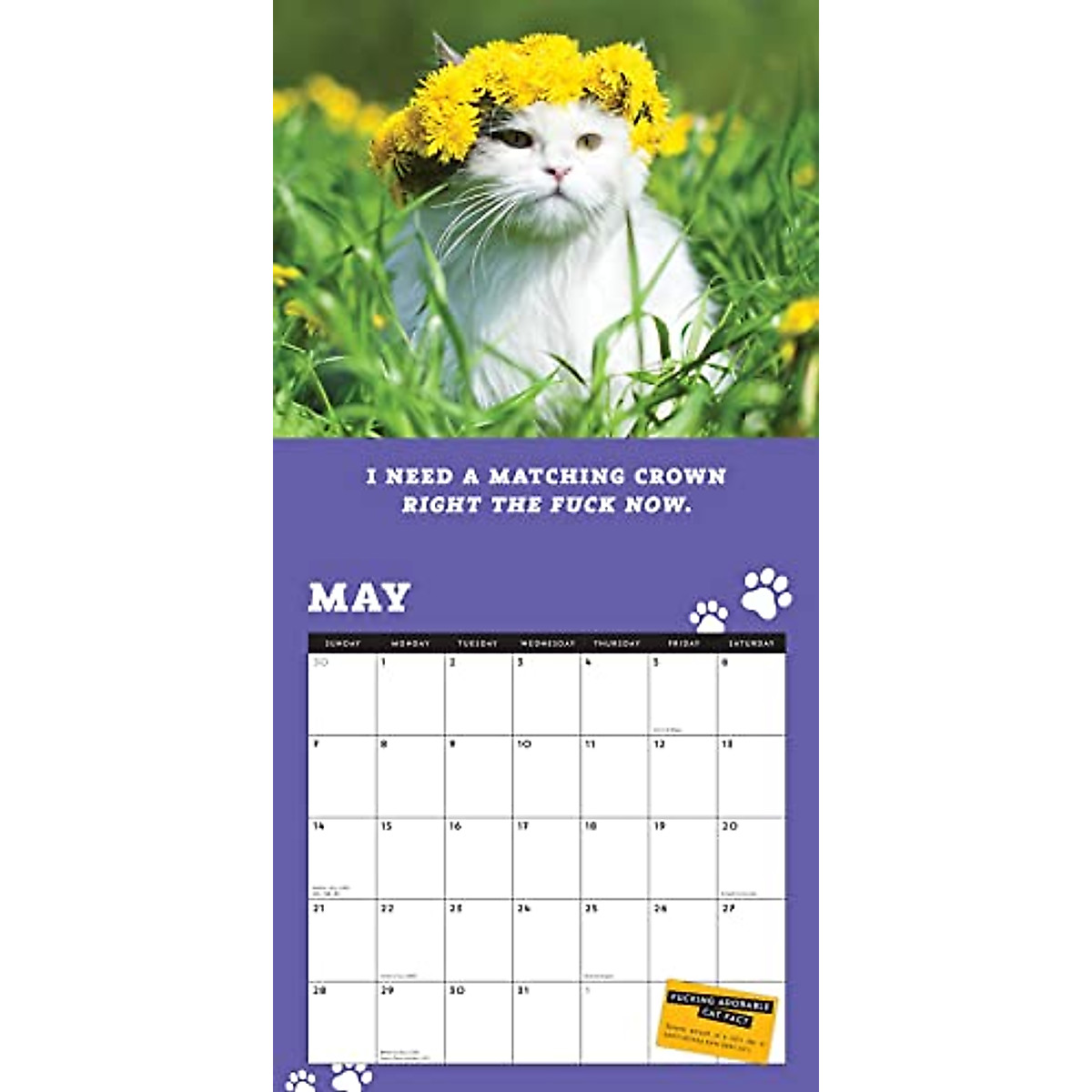 2023 Too F*cking Cute Cats Wall Calendar: A Year of D*mn Adorable Kitties (Funny Monthly Calendar & White Elephant Gag Gift for Cat Lovers)