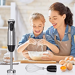 Immersion Hand Blender, 2-in-1 Multi-Purpose 500W Handheld Blender with Whisk, 20-Speed and Turbo Mode, 304 Stainless Steel Stick Blender for Smoothies, Puree Baby Food and Soups