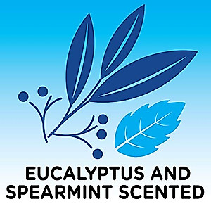 Amazon Brand - Solimo Eucalyptus & Spearmint Scented Foaming Bath with Essential Oils, 34 fl oz (Pack of 4)