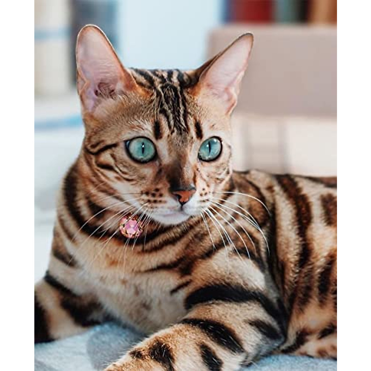 PetSoKoo Four-Leaf Clover Cat Collar with Bell Breakaway Buckle. Japan Chirimen,Cute Kitten Collar for Girl Boy,Samll Cat,Pink