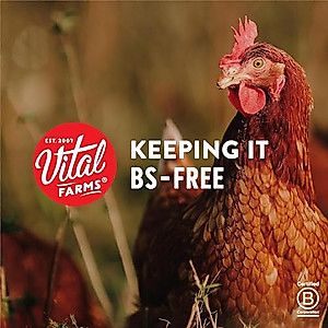 Vital Farms Pasture-Raised, Liquid Whole Eggs, Ready to Pour, 16 oz Carton, Pasteurized