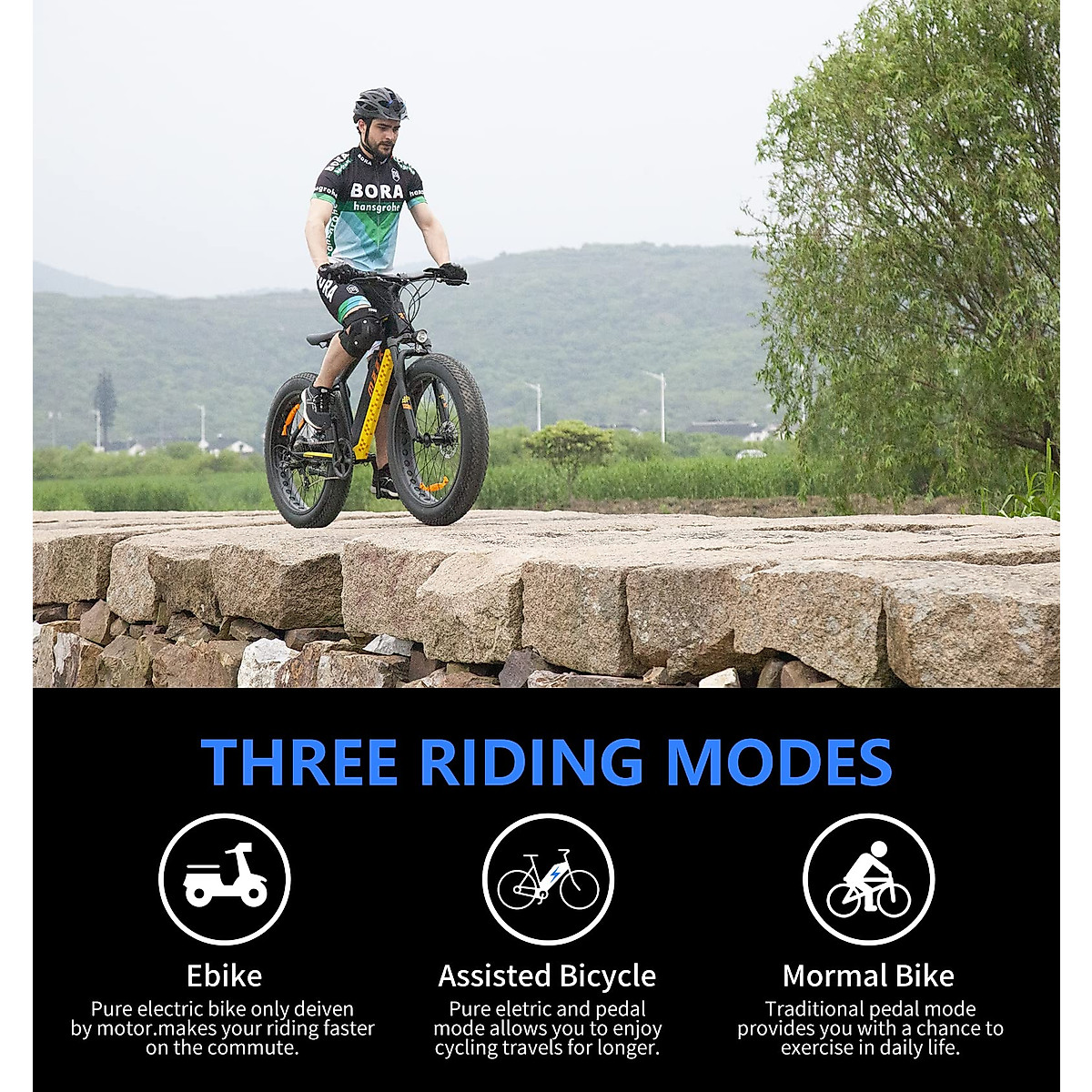 Katharina Shop Adults Electric Bike 750W Motor Fat Tire Electric Mountain Bicycle 48V Lithium Battery 7-Speed Snow Beach E-Bike Dirt Bicycles UL, Black