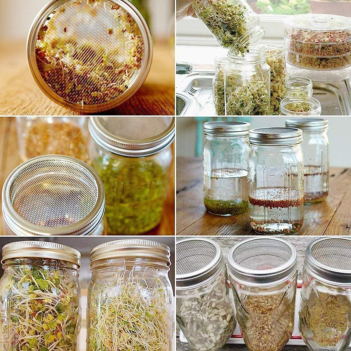 304 Stainless Steel Sprouting Lids for Wide Mouth Mason Jars and Making Organic Sprout Seeds 6 Pcs
