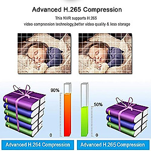 Seculink 8-Channel 5MP Lite 5-in-1 AHD Digital Video Recorder H.265+ Super HD DVR Motion Detection Cloud P2P Remote Access