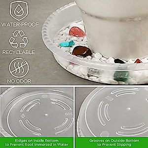 LotFancy Plant Saucer, 6 Pack of 10 Inch, Clear Plastic Plant Trays for Pots, Thick 35Gram Durable Flower Pot Base, Plant Plate to Catch Water for Indoors Outdoors