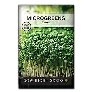 Sow Right Seeds - Cress Microgreen Seed for Growing - Instructions to Quickly Grow Your Own Delicious and Healthy Microgreens - Plant Indoors with no Special Equipment - Minimum of 12g per Packet