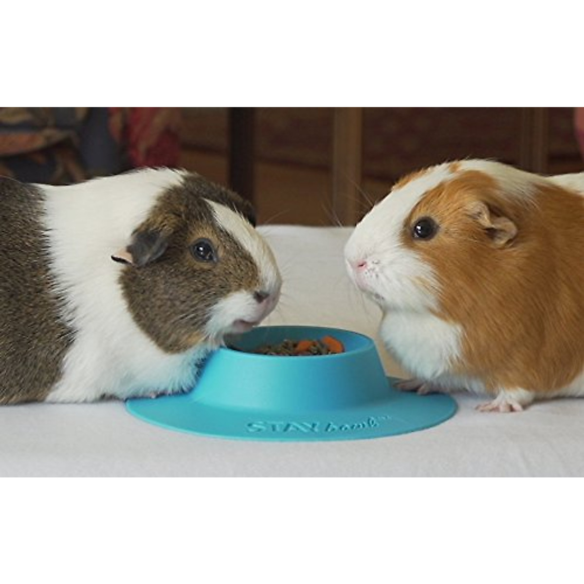 STAYbowl Tip-Proof Ergonomic Pet Bowl for Guinea Pig and Other Small Pets; 1/4-Cup Size; Sky Blue