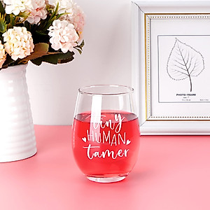 Modwnfy Teacher Appreciation Gifts, Tiny Human Tamer Stemless Wine Glass Gifts for Preschool Daycare Kindergarten Elementary School, Thank You Gifts Birthday Christmas Gifts for Daycare Teacher 17Oz