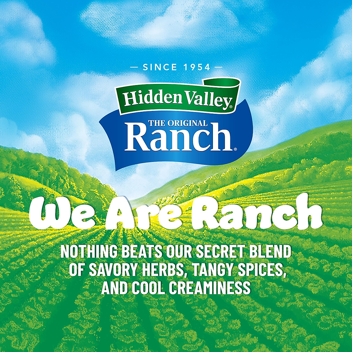 Hidden Valley Spicy Ranch Topping and Dressing, 16 Fluid Ounce Bottle (Package May Vary)