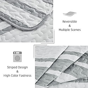 Andency California King Quilt Set Grey White (112x104 Inch), 3 Pieces (1 Cal King Patchwork Striped Printed Quilt and 2 Pillowcases), Soft Lightweight Reversible Microfiber Bedspread Coverlet Bedding