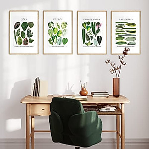 Buy 3 Get 1 Offer - Set of 4 UNFRAMED Plant Poster - Botanical Wall Art - Plant Stuff - Green Wall Art - Plant Wall Art - Plant Art Wall Prints - Plant Prints - Plant Pictures Wall Art - 8x10" (FOLIA)