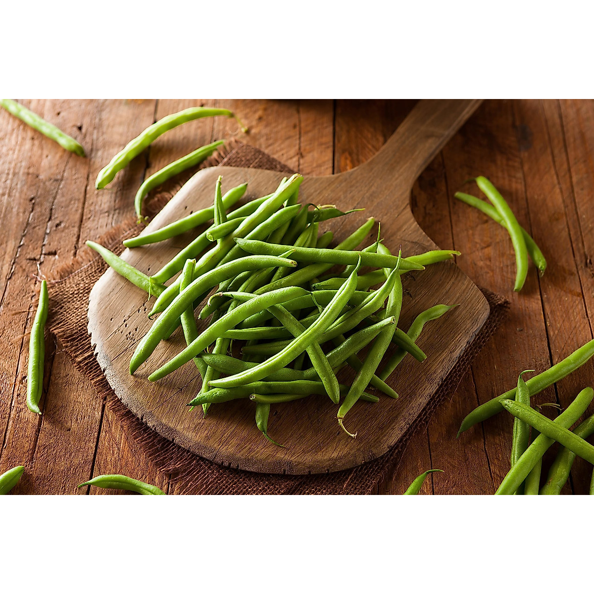 50 Green Bean Seeds for Planting - Provider - Bush Bean - Heirloom Non-GMO Vegetable Seeds for Planting