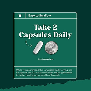Pancreatin Digestive Enzymes for Digestive Health - Pancreatic Enzymes for Humans with Fat Carb and Protein Digestive Enzymes for Women and Men - Protease Amylase & Lipase Enzymes for Digestion - 60ct