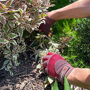 Wells Lamont Women's Breathable ComfortHyde Leather Hybrid Work Gardening Gloves, Small (7872S), Red