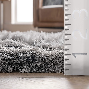 nuLOOM Latonia Modern Silky Shag Area Rug, 4x6, Silver