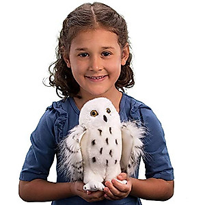 Douglas Wizard Snowy Owl Plush Stuffed Animal
