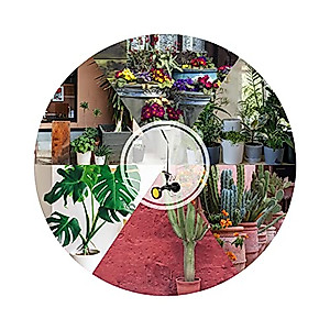 SQUEEZE master Garden Pot Mover with Free Wheels-Good Helper for Carrying Heavy Pots Max 165 Lbs-Potted Plant Mover with Suction Cup and Pot Hook