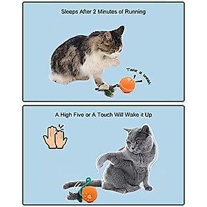 RRETECK Automatic Moving Cat Toys, Cute Interactive Cat Toys for Indoor, Cats Ball Bundle + Feather Kitten Toys in Pack. Smart Electric Teaser Cat Feather Toys, USB Rechargeable, 3 Feathers