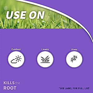 Bonide Poison Oak & Ivy Killer, 32 oz Ready-to-Use Spray for Home Gardening, Fast-Acting Formula Kills the Roots