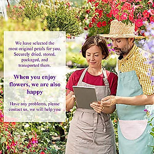 LAVEVE Dried Flowers, 21 Bags 100% Natural Dried Flowers Herbs Kit for Soap Making, DIY Candle, Bath, Resin Jewelry Making - Include Lavender, Don't Forget Me, Lily, Rose Petals, Jasmine and More