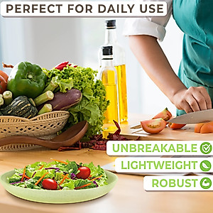 4pcs Wheat Straw Plates Set - Microwave Plate Plastic Plates Reusable Wheat Straw Dinnerware Sets Camping Plates Wheat Plates Microwavable Plates - Unbreakable Plates Microwave Plates for Heating Food