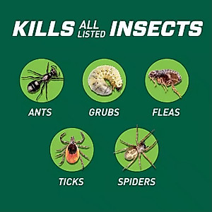 Ortho Bug B Gon Insect Killer for Lawns3. - Kills Ants, Fleas, Ticks, Chinch Bugs, Mole Crickets and Cutworms - Use on Lawns, Ornamentals and Home Perimeter, 10 LB