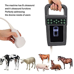 Veterinary Machine, HD LCD Display, Obstetric Report Function, Veterinary Machine, System Setting Functions, Pregnancy Test Screen Switching (US Plug 100-240V)