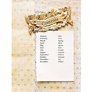 The Magpie and the Wardrobe: A Curiosity of Folklore, Magic and Spells