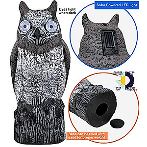 Galashield Owl Decoy | Plastic Owls to Scare Birds Away with Solar Powered LED Eyes | Owl Statue for Garden & Outdoors