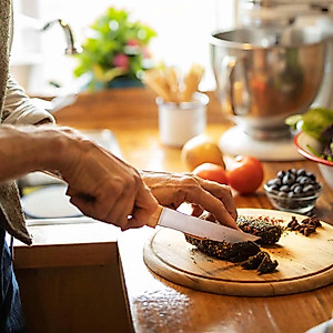Opinel Parallele Stainless Steel Carving Knife